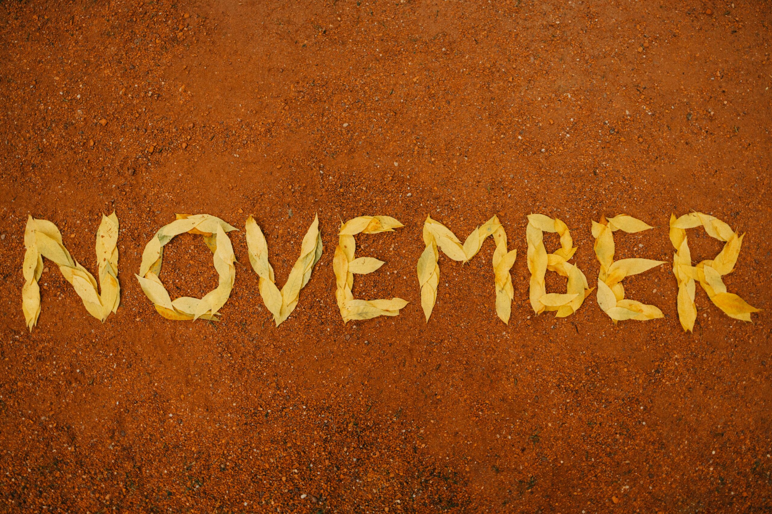 Your Audacious November Horoscope 2024 - Audacity Magazine